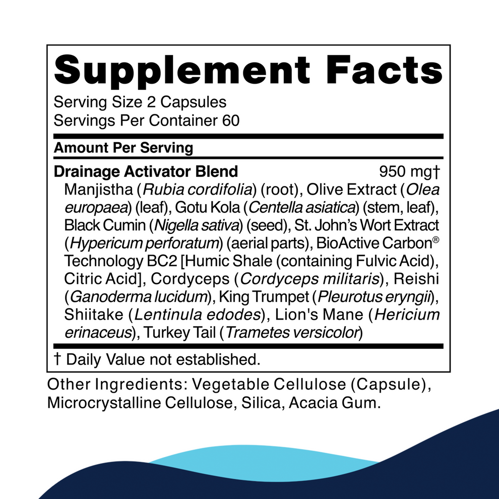 Drainage Activator – Laura Frontiero
